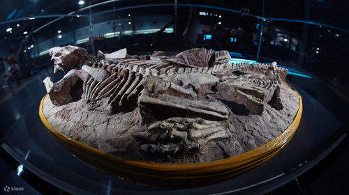 Xiamen Science and Technology Museum - Klook