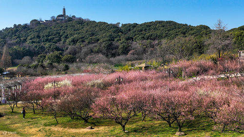 Suzhou Shangfangshan National Forest Park - Klook