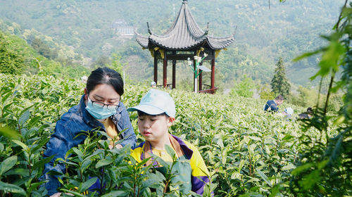 Anji Songming Tea Expo Park - Klook