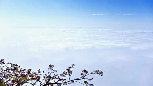 Lingshan Scenic Area - Klook