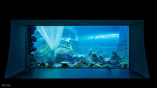 China Fish Vision Ocean Kingdom - Klook