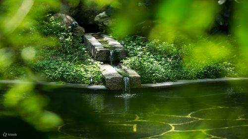 Zen Hot Spring - Klook United Kingdom