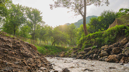 Qiao Valley Xiqiao Mountain Waterside Valley - Klook