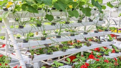 Beautiful countryside in Pengcheng - Klook United States