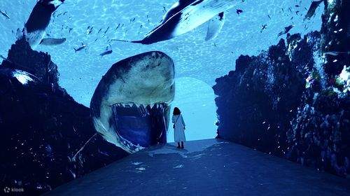 Super Spacetime Cube - Metaverse Experience Hall (Xiamen) - Klook ...