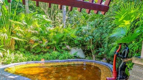 [Jiangmen Taishan] Yihe Hot Spring City - Klook Philippines