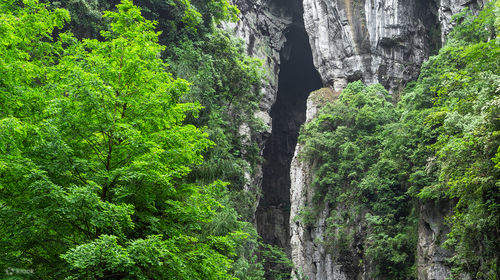 Wulong Three Natural Bridges - Klook
