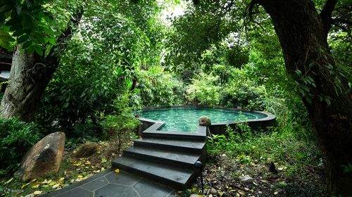 Zen Hot Spring - Klook