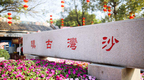 Shawan Ancient Town - Klook