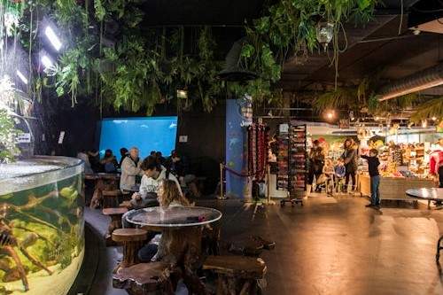 巴黎水族館門票（直接入場） Klook香港