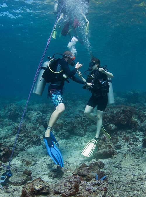 Experience the Underwater Marvels with PADI Discover Scuba Diving in ...
