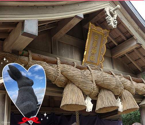 Uradome Coast, Tottori Sand Dunes, and Hakuto Shrine Bus Tour with ...