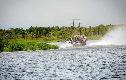 Small Airboat Swamp Tour in New Orleans - Klook Philippines