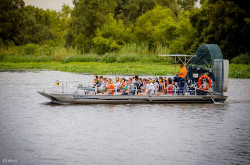 Small Airboat Swamp Tour in New Orleans - Klook Singapore