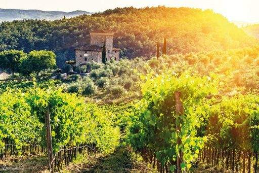 Chianti Join In Half Day Tour from Florence - Klook