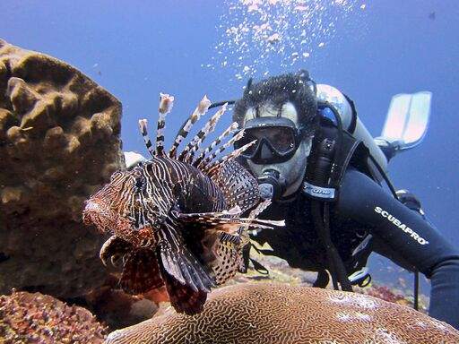 Experience Premium Discover Scuba Diving in Lombok with PADI 5 Star ...