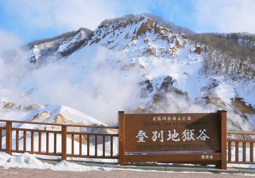 Hokkaido | Sapporo City/Furano/Lake Toya/Otaru Customized Chartered One ...