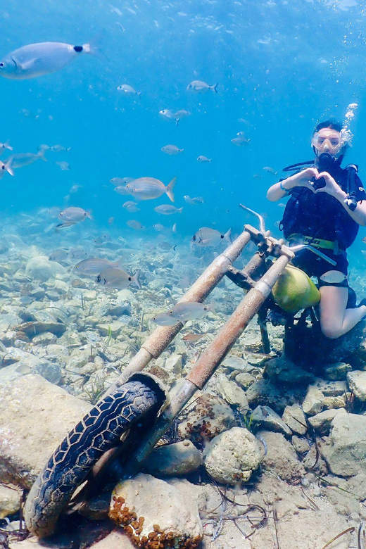 Pengalaman Menyelam Scuba di Kusadasi dengan Makan Siang BBQ dan Antar ...