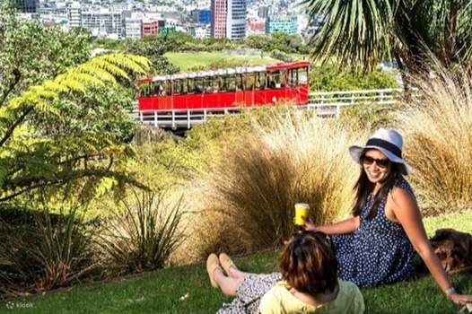 Mandarin Wellington Highlights Tour - Klook