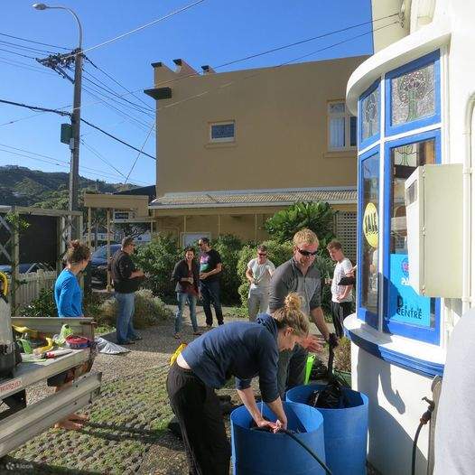 Lawatan Selam Setengah Hari di Island Bay Wellington dengan Pusat ...