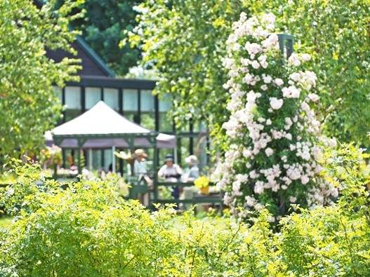 Private tour from Sapporo (Hokkaido) - Klook