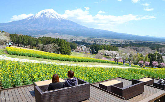 Mt. Fuji Family Horse Farm (Tickets Included) & Shiraito-no-Taki Day ...