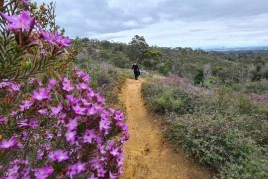 Hidden Gems of Perth Experience - Klook