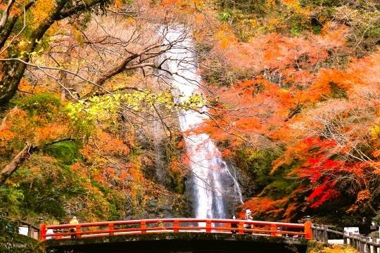 Minoh Park, Ryuanji, and Katsuoji Half Day Hiking Tour from Osaka - Klook