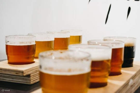 Local Brewery Tour with Lunch & Beer Tasting in Queenstown - Klook