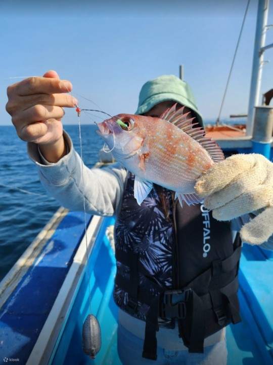 Jeju Sea Boat Fishing Tour with Lunch Included - Klook Philippines