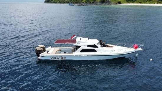 Full Day Komodo Speedboat Join-in (Sharing) Tour in From Labuan Bajo ...