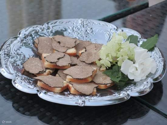 Truffle Hunting in Provence - Klook United States