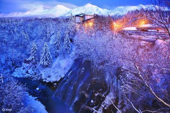 Illumination Tour: Furano Elf Terrace, Biei Blue Pond & Shirahige Falls ...
