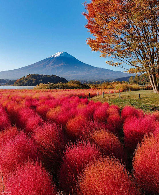 Gita di un giorno per scattare foto del Monte Fuji IG! Parco ...