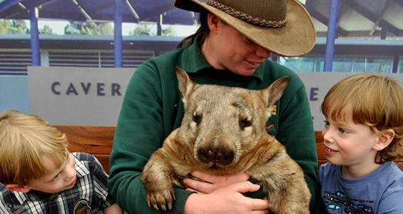 Caversham Wildlife Park Admission Ticket - Klook Singapore