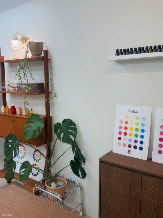 K-pop Celebrity Personal Color Analysis by Color Place in Busan - Klook ...