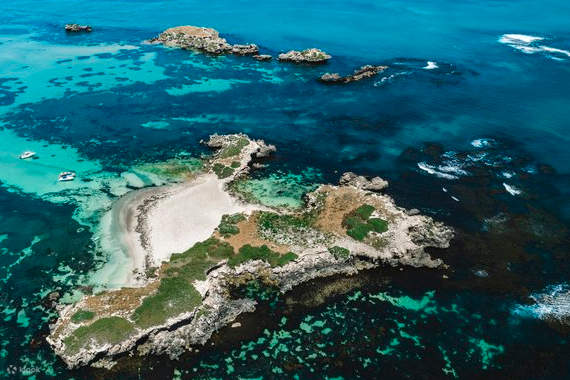 3 Island Snorkel, Wildlife and Seafood Half Day Cruise in Perth - Klook ...