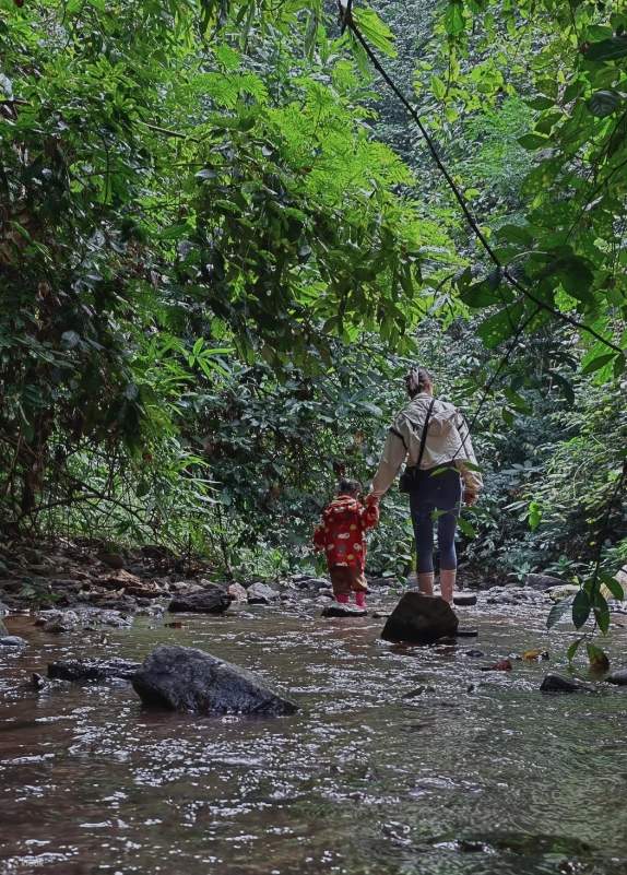One-Day Rainforest Trekking Tour in Jinuo Mountain, Xishuangbanna ...