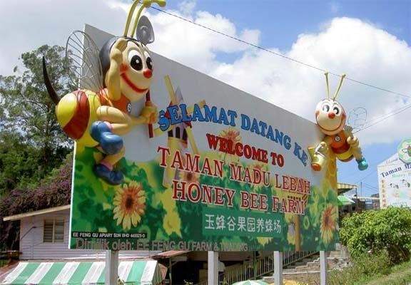 1 DAY PRIVATE TOUR FROM KUALA LUMPUR TO CAMERON HIGHLANDS HIGHLANDS - Klook