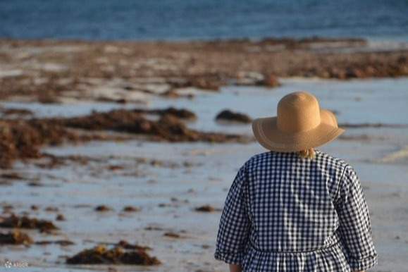 Perth to Pinnacles Self-Guided Driving Tour - Klook Australia