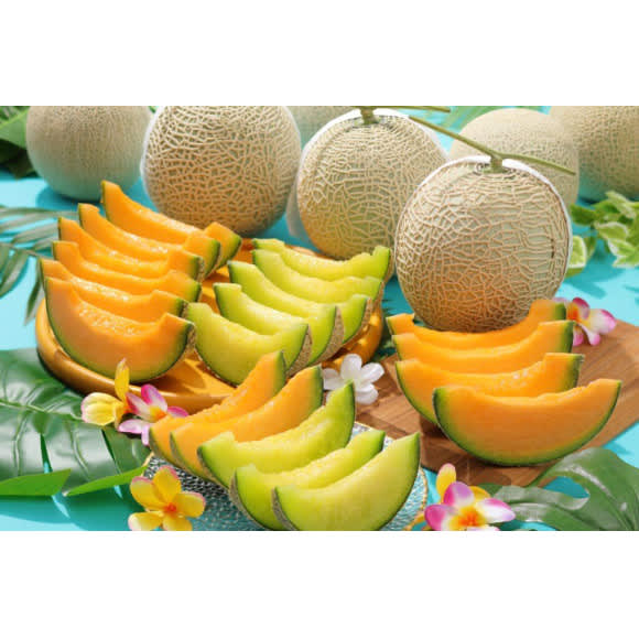 Biei Blue Pond & Furano Flower Day Tour｜Buffet + Melon Feast - Klook