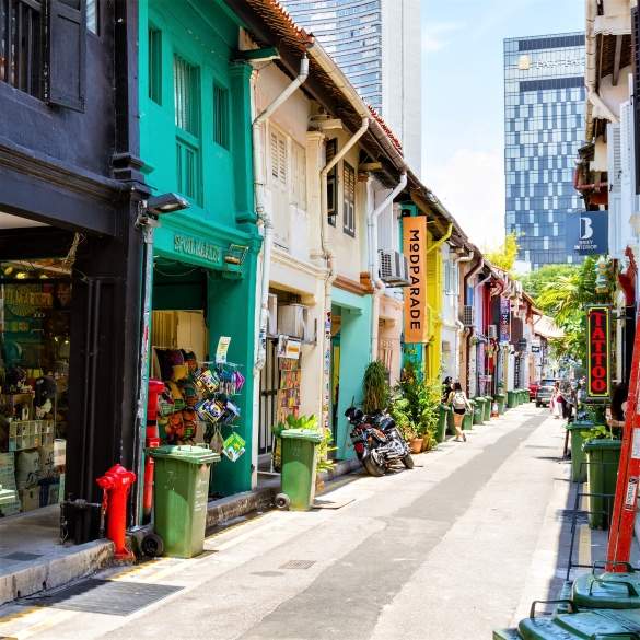 Kampong Glam Heritage Tour and Mediterranean Dinner Walking Tour ...