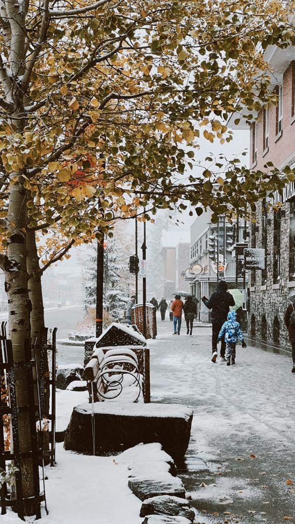Winter Tour Banff Town, Lake Louise and Johnston Canyon Icewalk - Klook