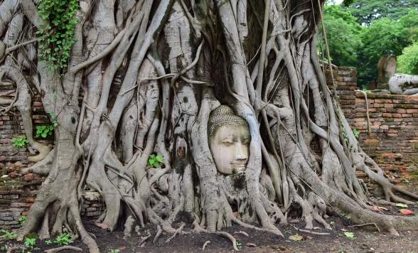 Let's go to Ayutthaya, a World Heritage Site, on the State Railway of ...
