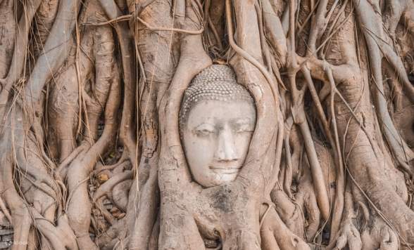 Let's go to Ayutthaya, a World Heritage Site, on the State Railway of ...
