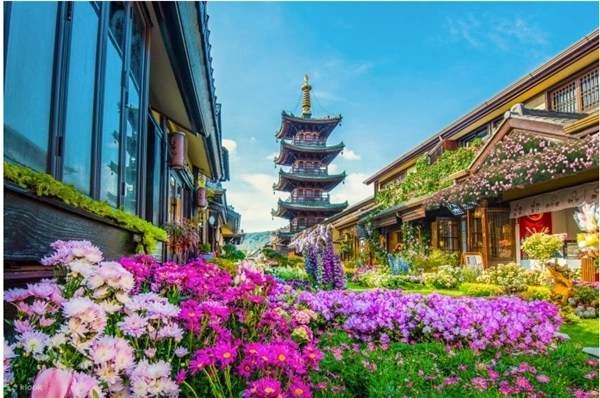 Private Day Tour of Lingshan Giant Buddha and Nianhua Bay from Hangzhou ...