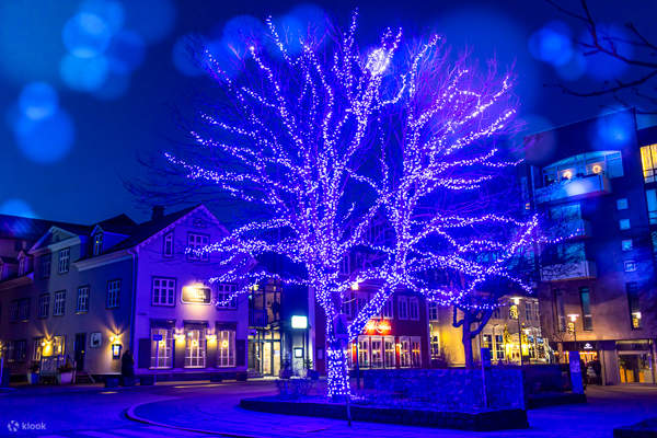 Reykjavik Christmas Walking Tour - Klook India