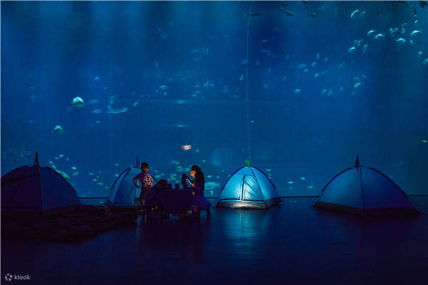 Sunac Sea World Chongqing Ticket - Klook