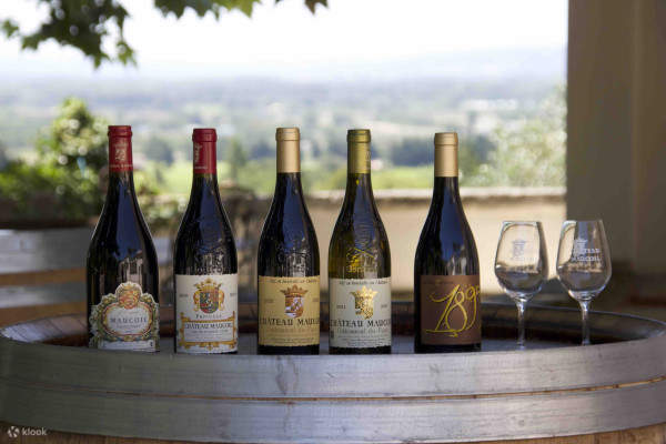 Indulge in Wine Tasting in Cote de Provence: Explore the Flavors of ...