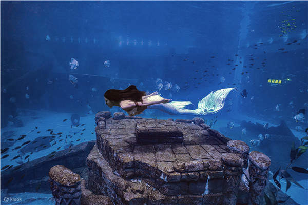 Sunac Sea World Chongqing Ticket - Klook